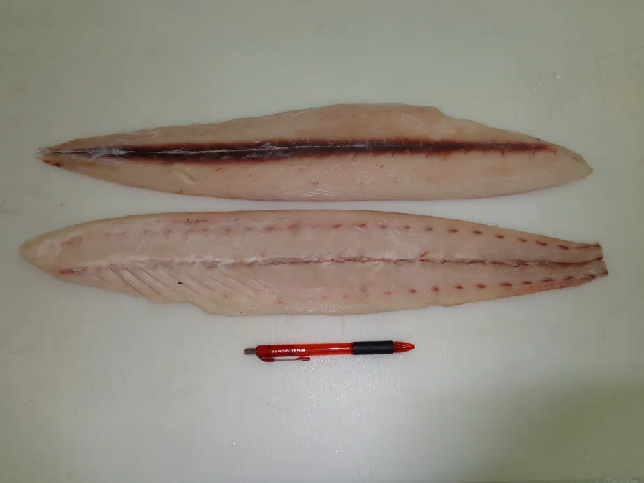 Mahi-Mahi Fillet Skin Off | Mahi-Mahi | PT Era Mandiri Cemerlang