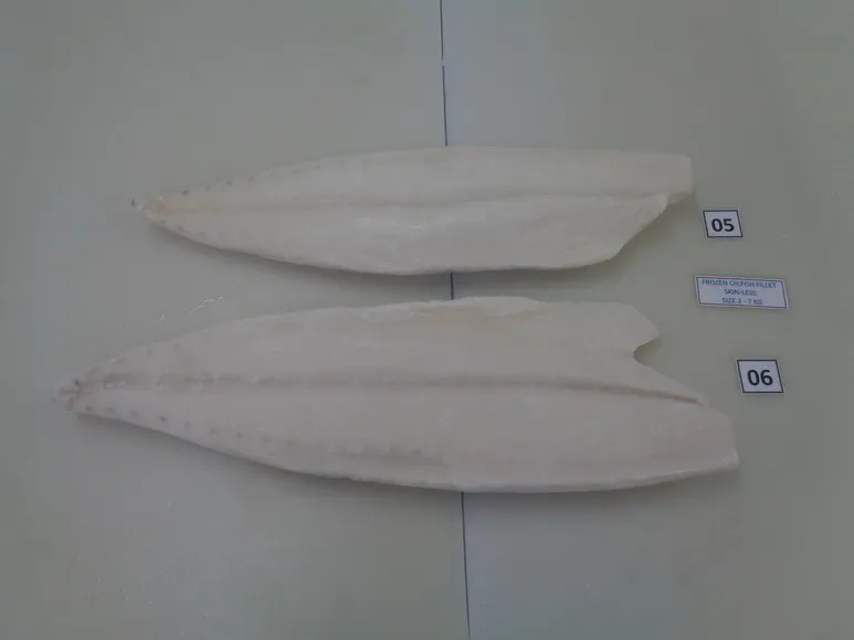 Oilfish Fillet Skin Off | OilFish | PT Era Mandiri Cemerlang