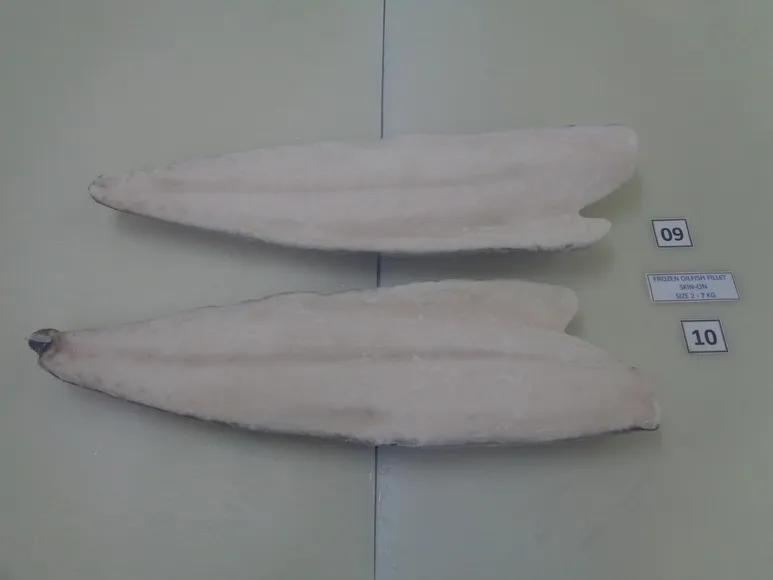 Oilfish Fillet Skin On | OilFish | PT Era Mandiri Cemerlang