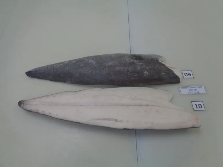 Oilfish Fillet Skin On | OilFish | PT Era Mandiri Cemerlang